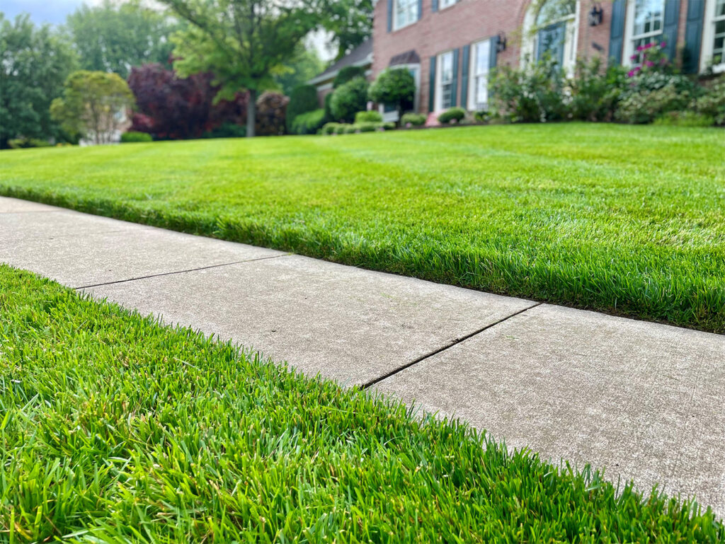Edging and Lawn Mowing Service Across Northern Virginia