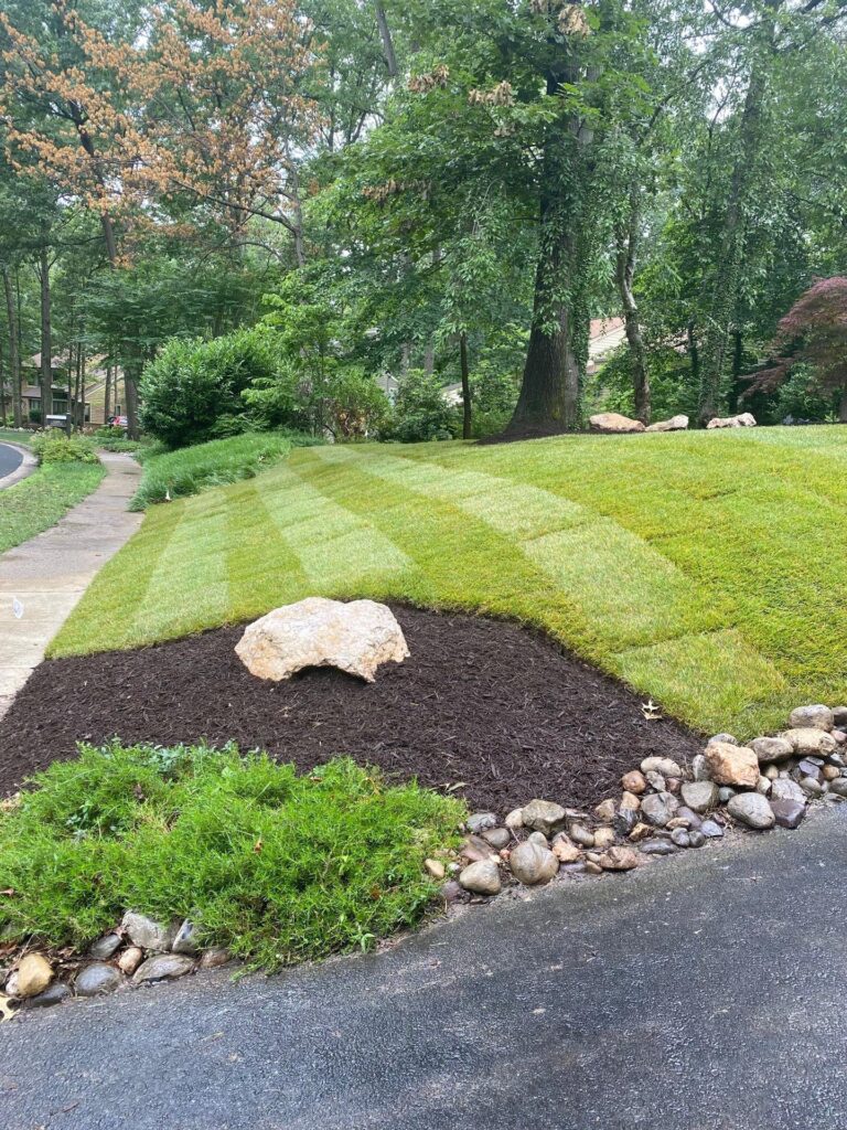 Trusted Yard Grading Services in Northern VA | Independence
