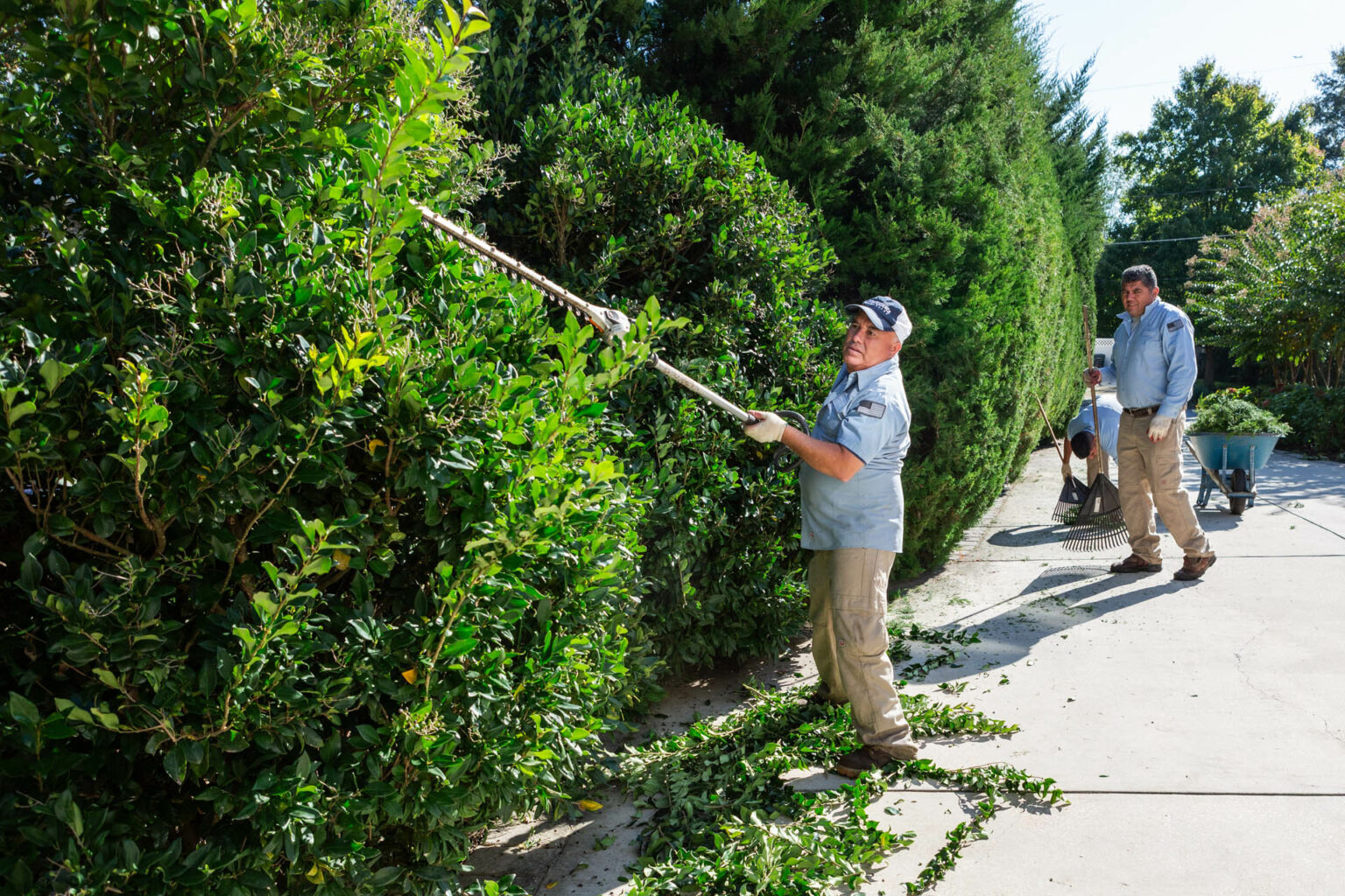 Lawn Care & Landscaping Services - Northern, VA - Independence Landscape