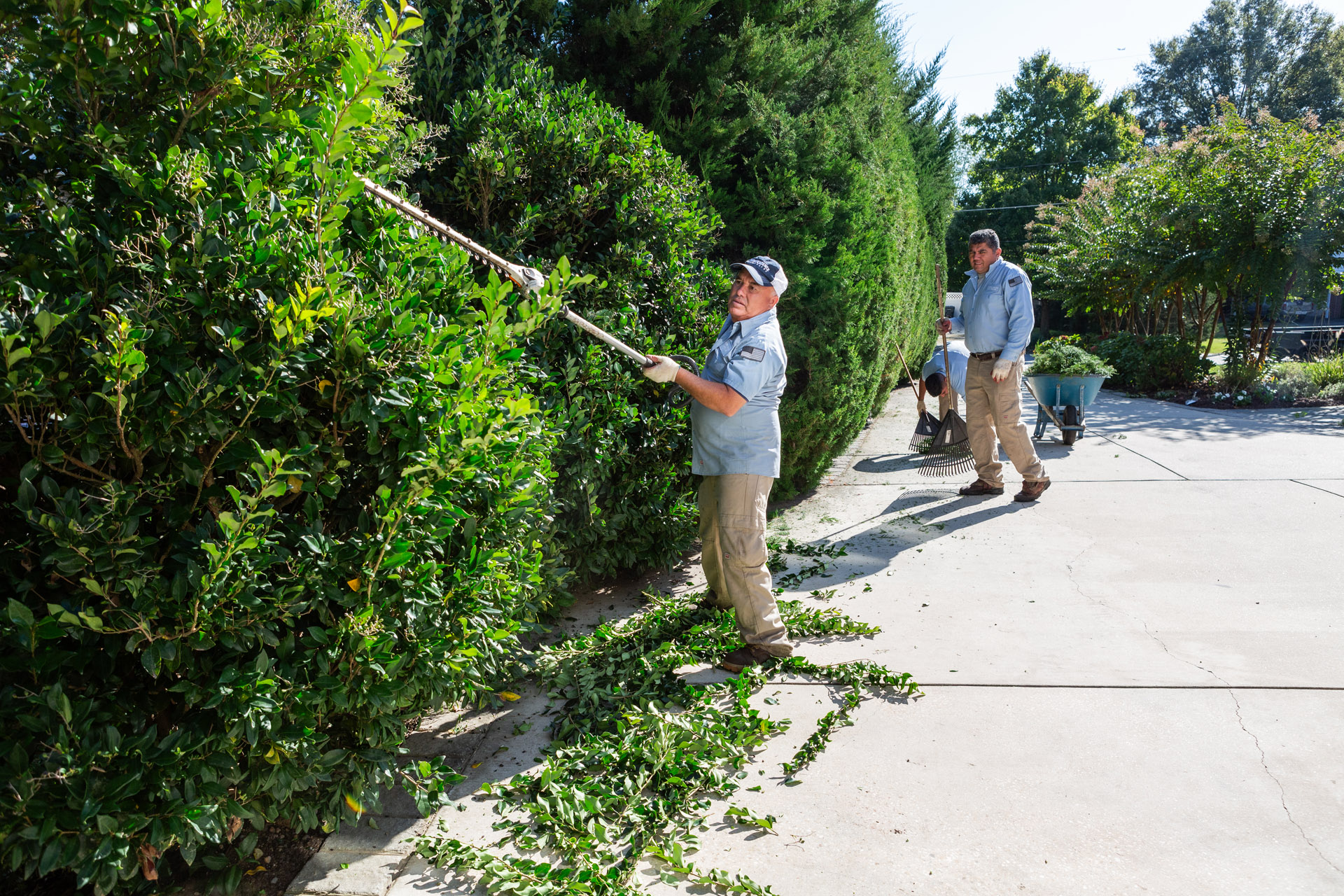 Spring Cleanup & Mulching for Your Lawn